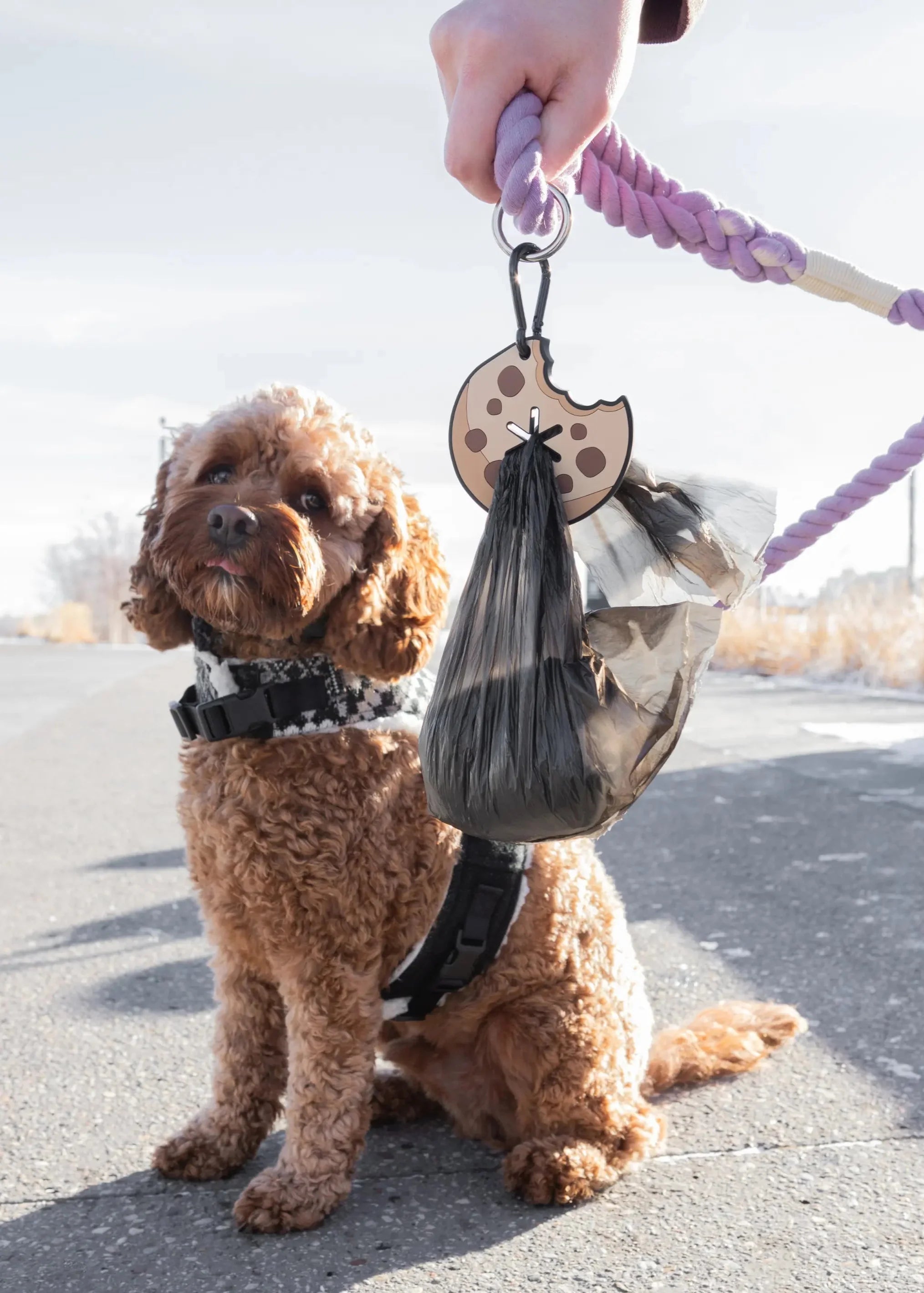 💩 The Story Behind the Poopy Loop: A Love Letter to Walks That Don’t S ...