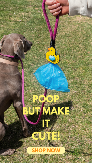 Woof & Wonder: Creating wonderful goods for dogs and humans – Woof + Wonder