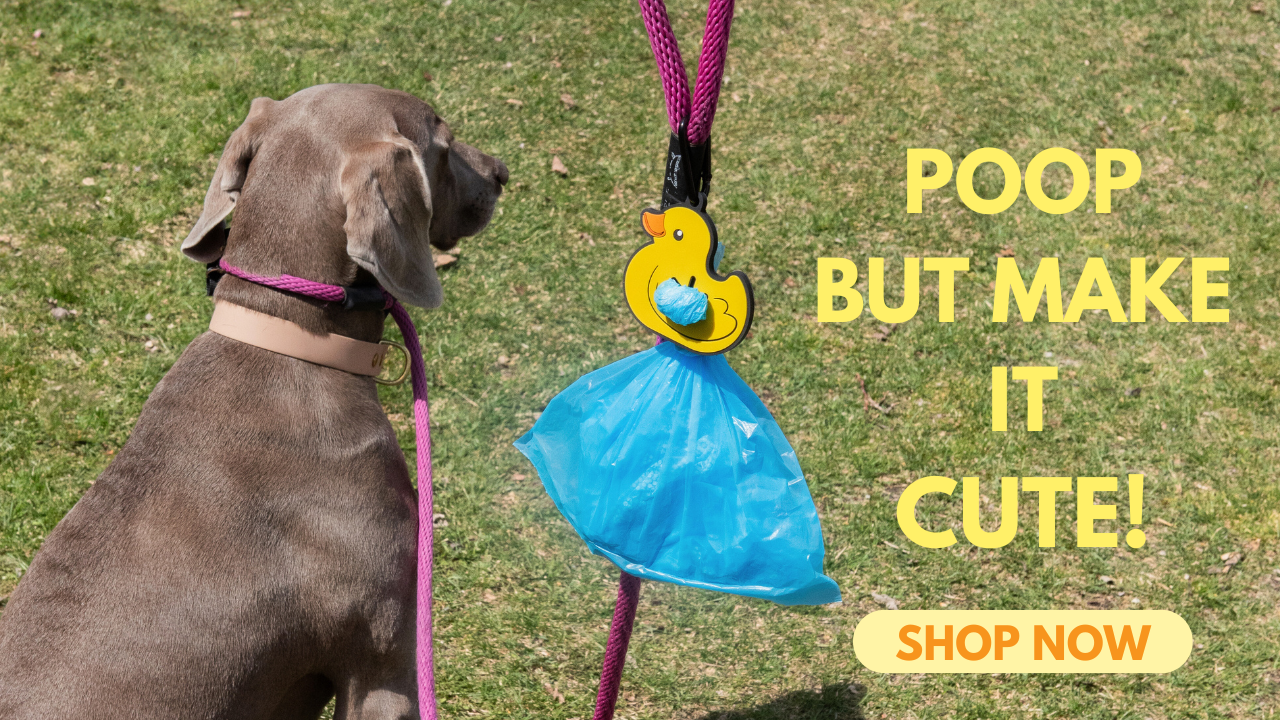 Woof & Wonder: Creating wonderful goods for dogs and humans – Woof + Wonder