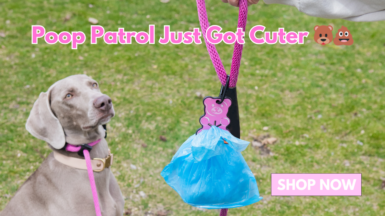 Woof & Wonder: Creating wonderful goods for dogs and humans – Woof + Wonder